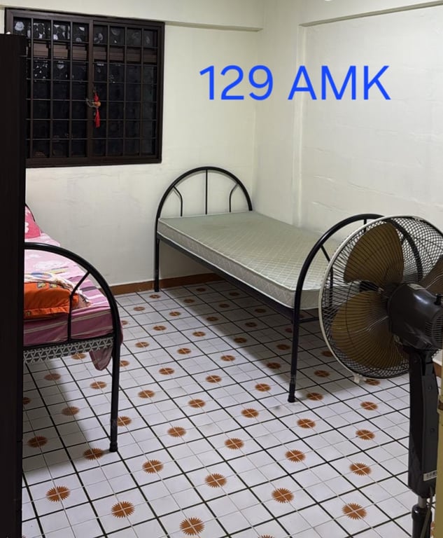 HDB Common Room for Rent at 427 Ang Mo Kio Avenue 3, Ang Mo Kio