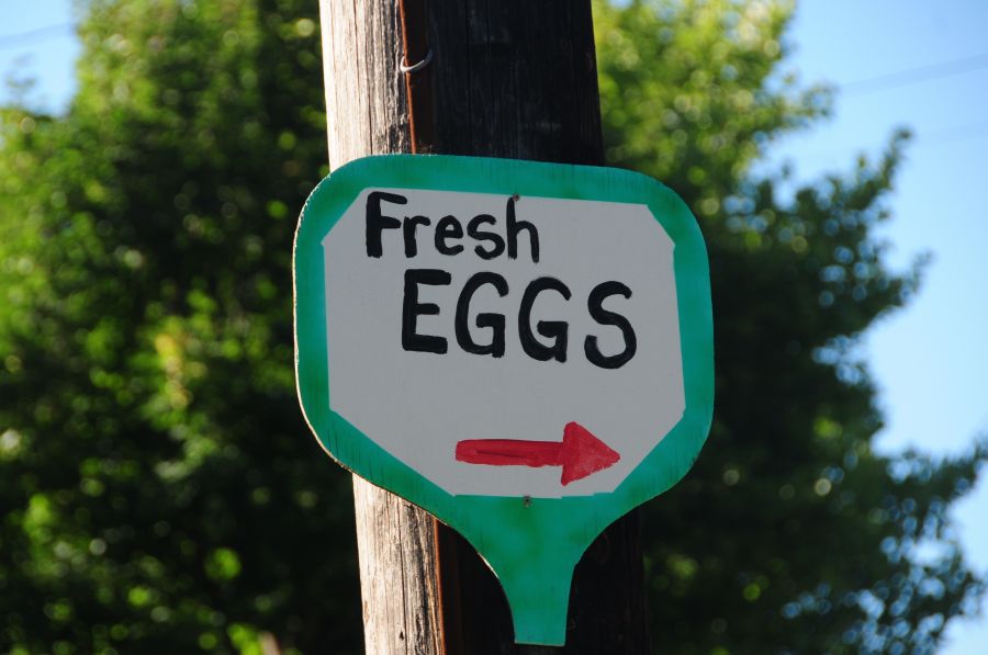 7 reasons why Lake Country is the perfect place to retire