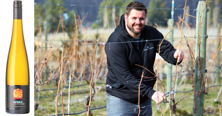 'Wine of the year' is Tantalus Old Vines Riesling