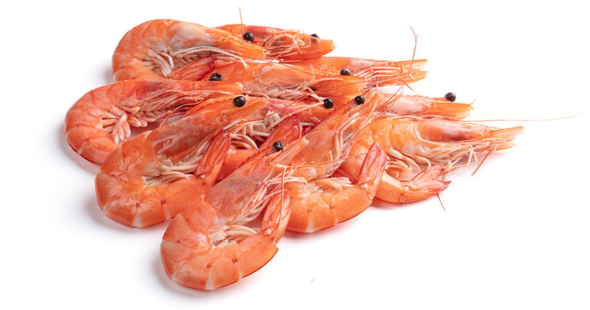 Tri-Star Seafood Supply Ltd. brand live spot prawns recalled due to ...