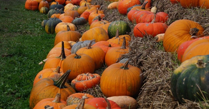 The Autumnal Equinox is today, marking the first official day of fall