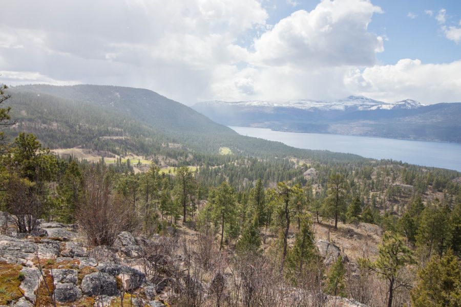 Predator Ridge's lakeview hike that you don't want to miss