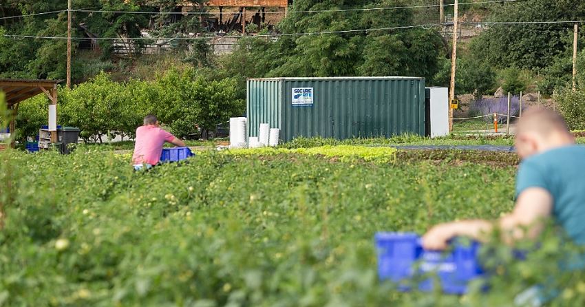 5 Myths About Shipping Containers Debunked