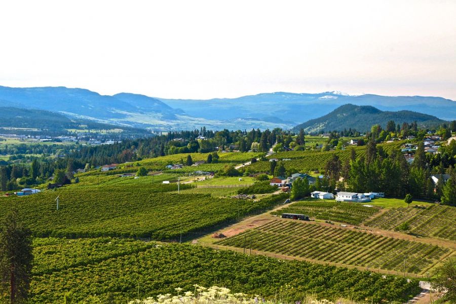 7 reasons why Lake Country is the perfect place to retire