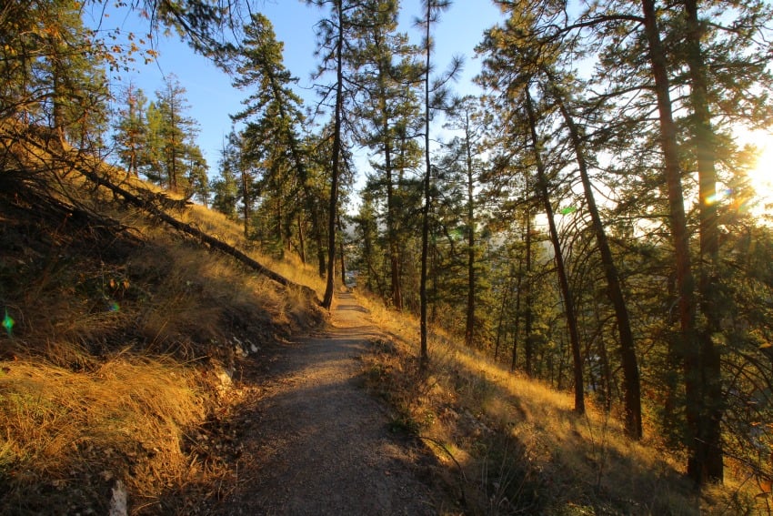 The Perfect trail for those stair junkies out there!