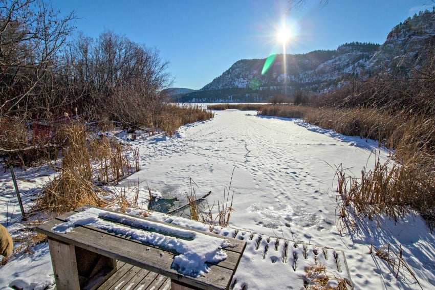 Something for everyone at Vaseux Lake