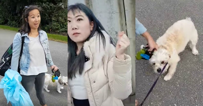 VIDEO: Burnaby dog-kicking incident drawing ire