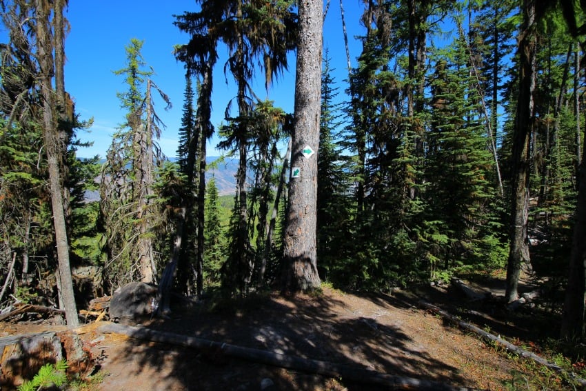 Take a hike on the rocky side!