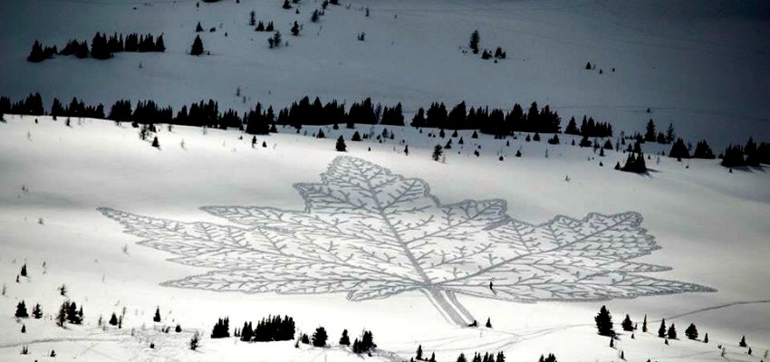 Snow Shoe Artist Creates Masterpieces in Banff