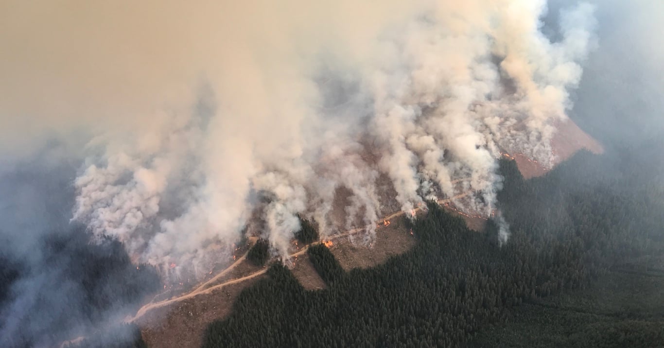 UPDATE: Wildfire east of Salmon Arm, near Mabel Lake grows to 286 hectares