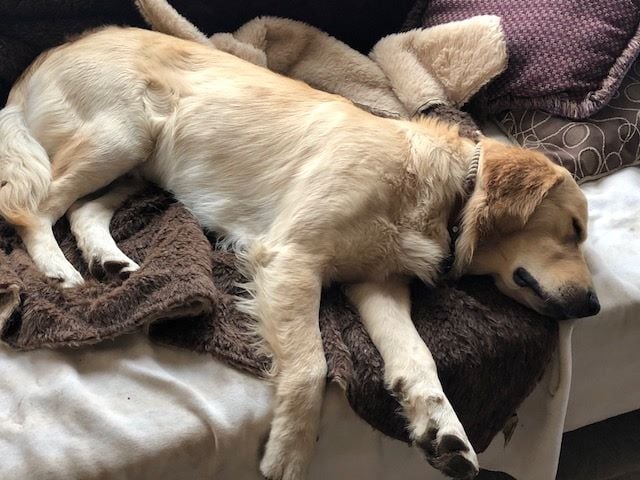 VIDEO: RCMP release footage of woman taking Atlas in hopes of finding ...