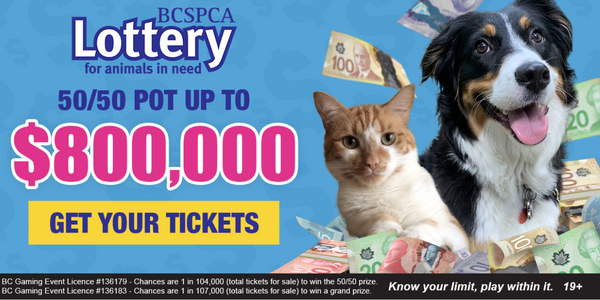 BC SPCA lottery is back with 50/50 pot of up to $800K