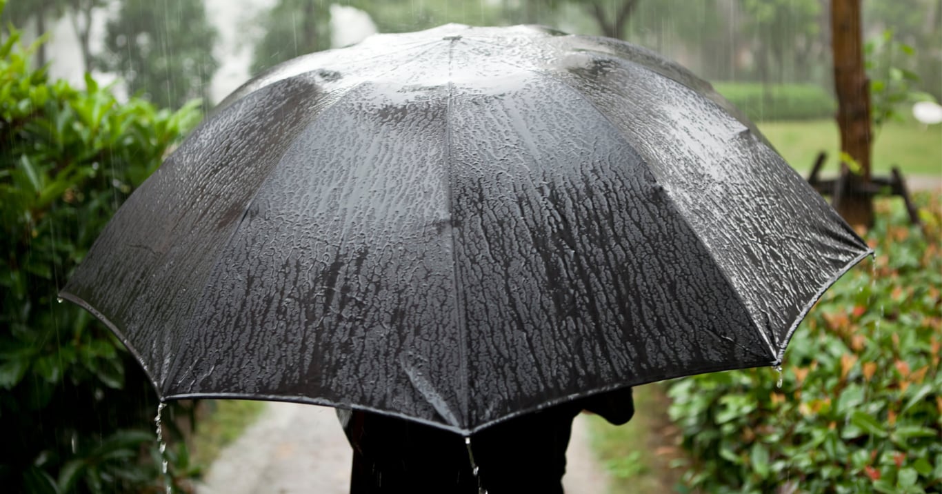 Cold, wet spring forecast for BC