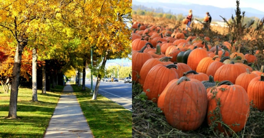 Today is the first official day of Autumn