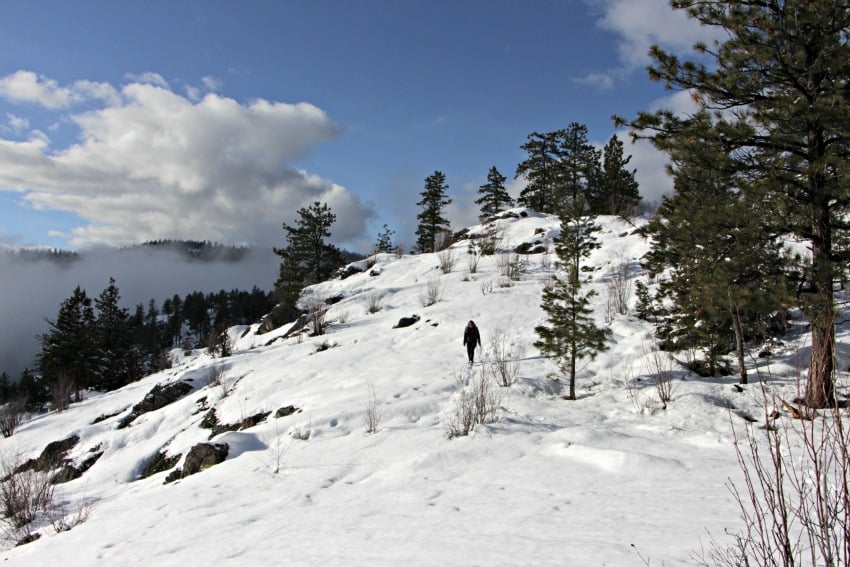 Peachy views from the top of Pincushion Mountain