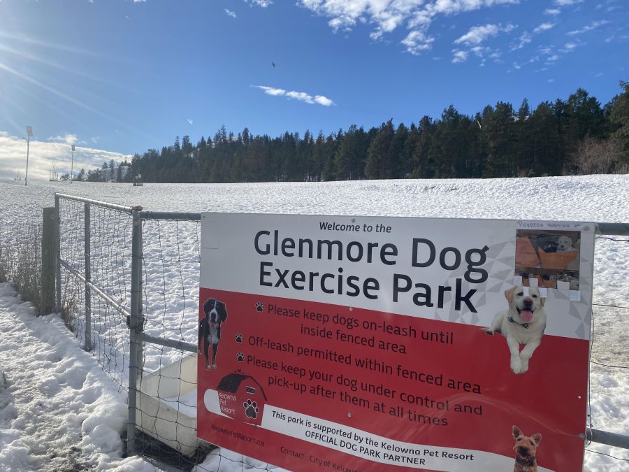 Woman found dead at Glenmore Dog Park identified as 25-year-old from ...
