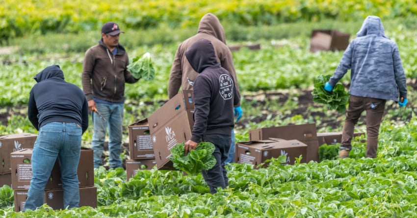 Dan Albas: Trudeau's temporary worker changes led to jobless youth and ...