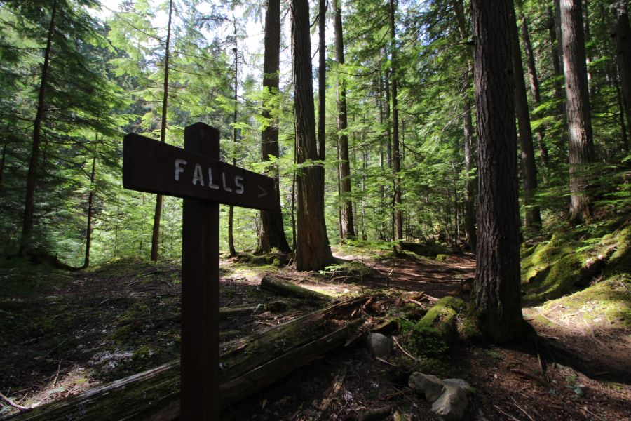 The Perfect Waterfall Road trip for the waterfall enthusiast!