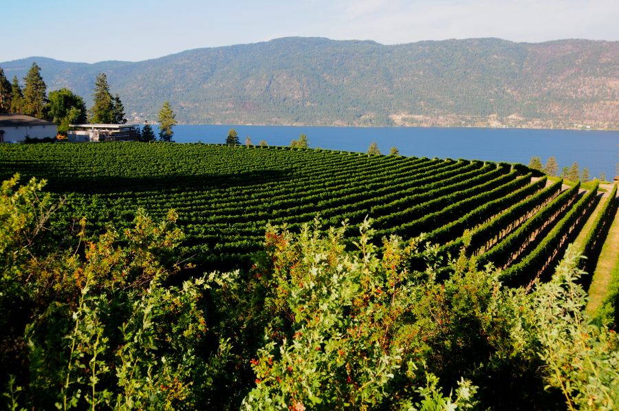 7 reasons why Lake Country is the perfect place to retire