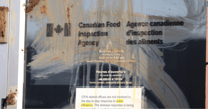 UPDATE: Police trying to ID who smeared feces on Kelowna CFIA office