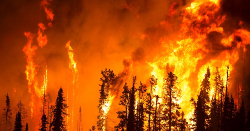BC's terrifying new wildfire reality requires 'whole-of-society ...