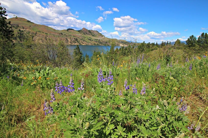 Marvelous views of Kalamalka Lake!