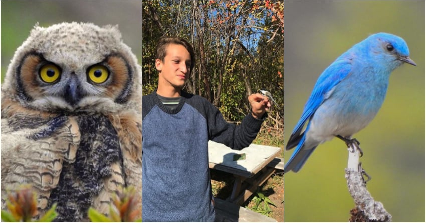 Meet Kelowna's birdwatching prodigy: Kalin, 16, shares his love for all ...
