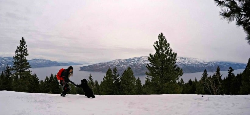 Check out The Fur Brigade Trail from Peachland