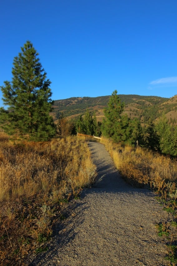 The Perfect trail for those stair junkies out there!