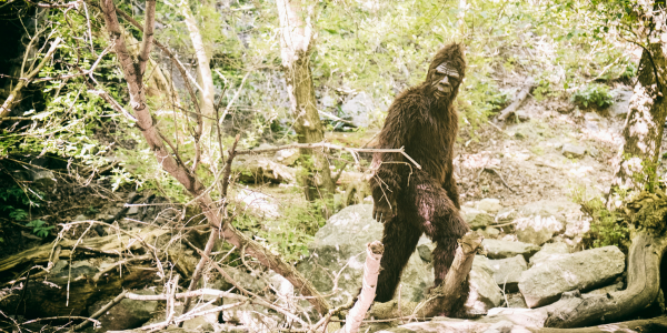 BC Interior's first conference on Bigfoot set for next weekend