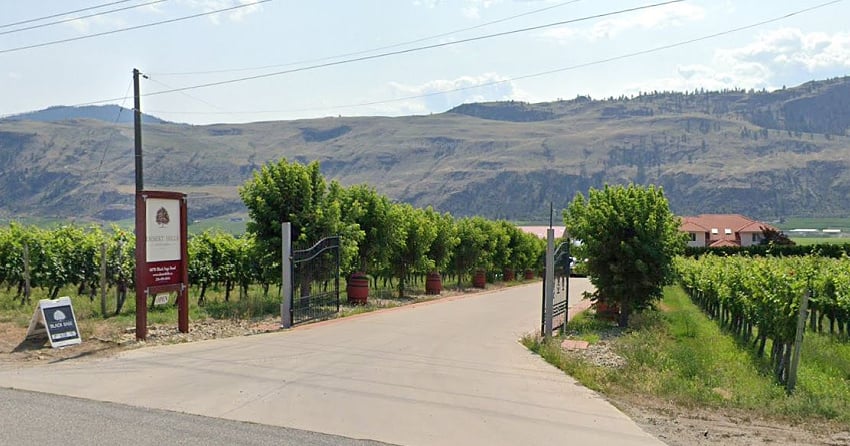 Okanagan winery permanently banned from hiring foreign workers, fined $118K