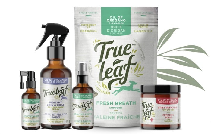 Rebranding announced for Okanagan cannabis company True Leaf