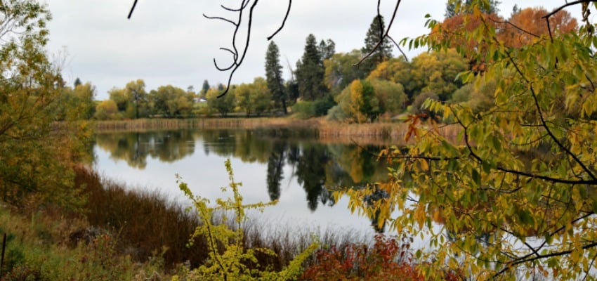 Take a Gander Through Canada's Most Beautiful Fall Photos