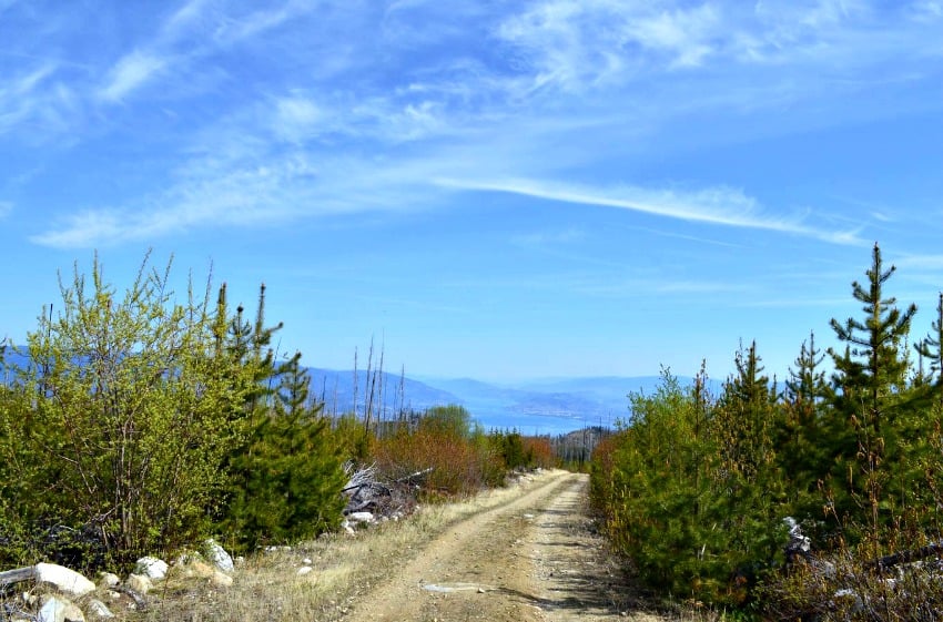 Divide Lake, Kelowna Mountain Park's Hidden Gem