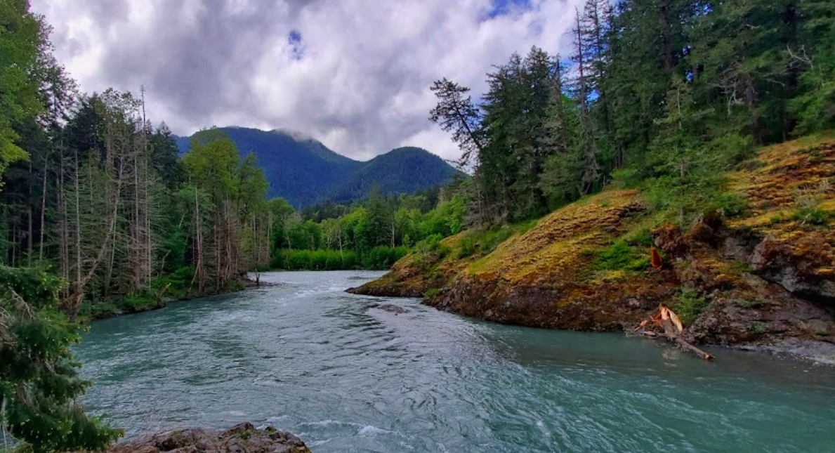 Human foot found in 2021 identified as missing woman from Washington