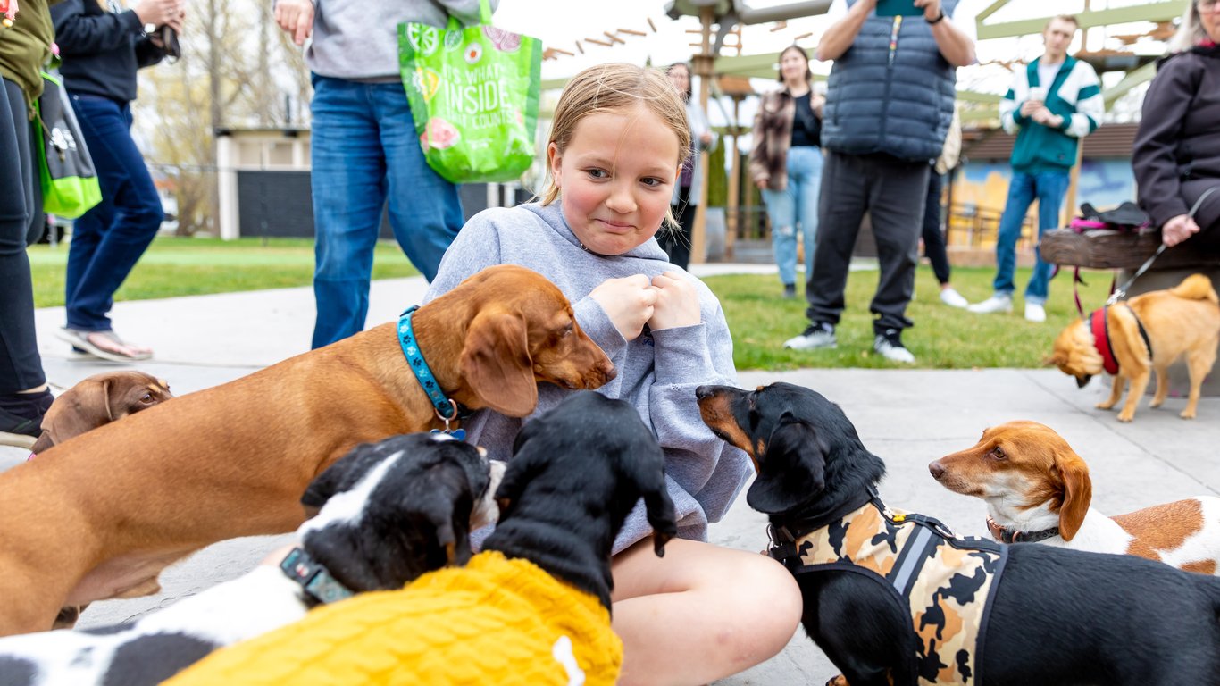 PHOTOS: Dog day afternoon!