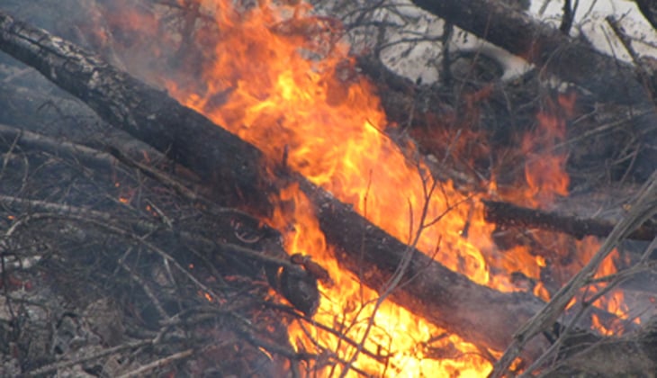 What You Need to Know About the Westside Road Fire