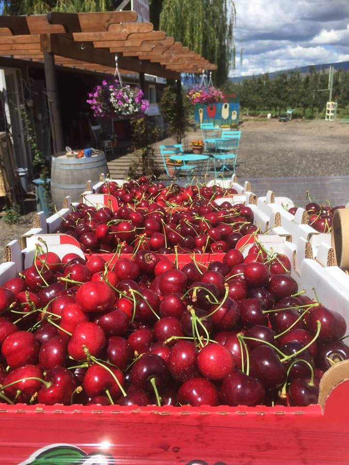 Where you can get locally grown fruit in the Okanagan