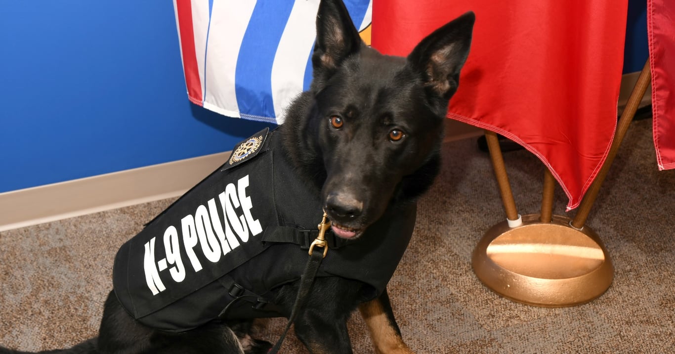 Kelowna RCMP police dogs equipped with ballistic protection vests
