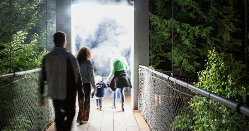 Whistler's magical lit up forest walk opens next week