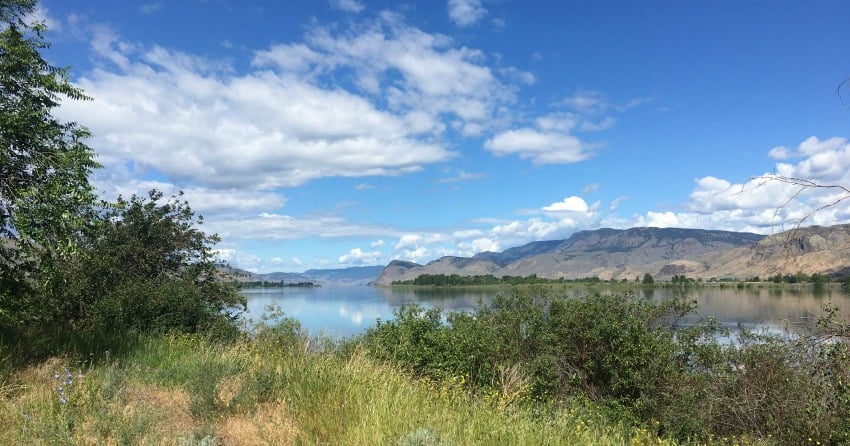 Live it Now: Balance