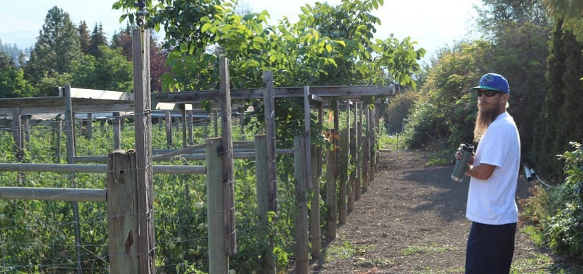 In Focus | Duane Hayes