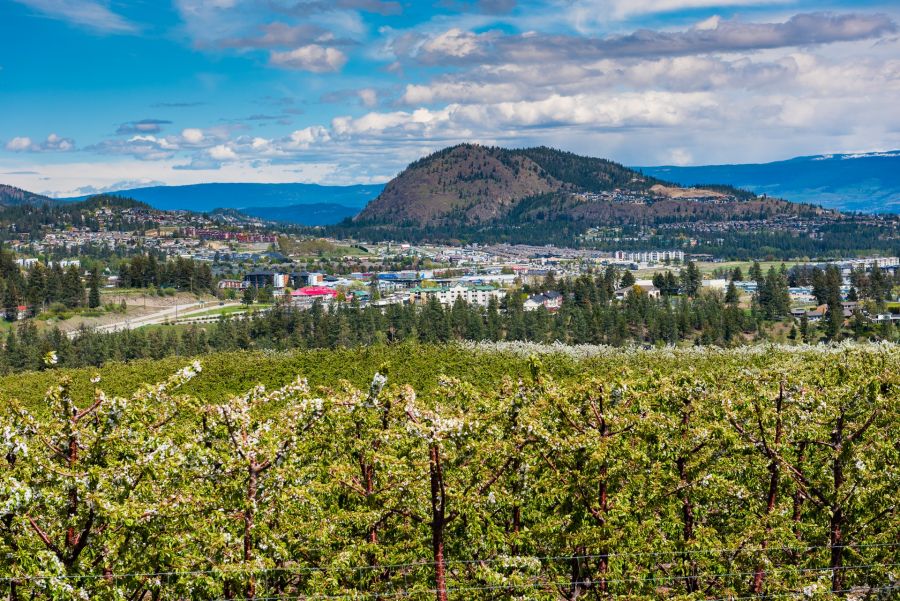 West Kelowna adopts updated OCP with 12,000 new residents expected by 2040