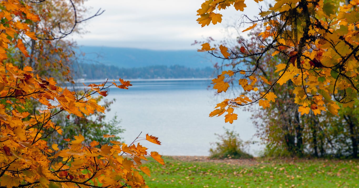 Canada’s fall forecast calls for seasonal temperatures and ...
