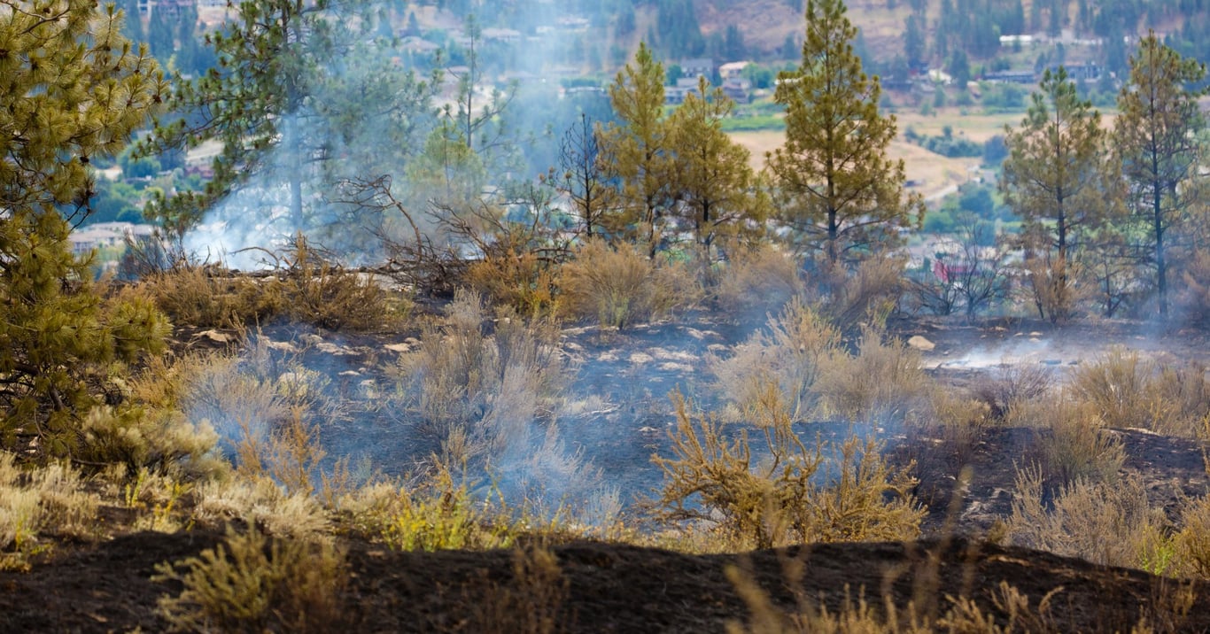 UPDATE: 9-hectare fire on PIB land burned on steep, difficult terrain