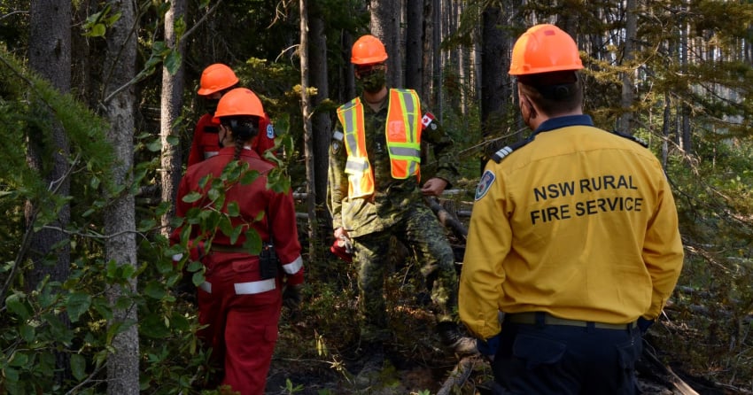 BC wildfires by the numbers: More than 500 out-of-province firefighters ...