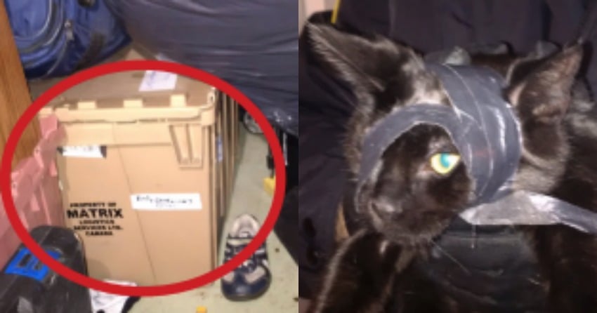 Canadian woman sentenced for locking animals in storage unit