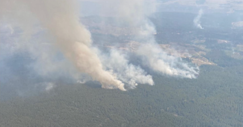 Rossmoore Lake wildfire now held, all evac alerts lifted