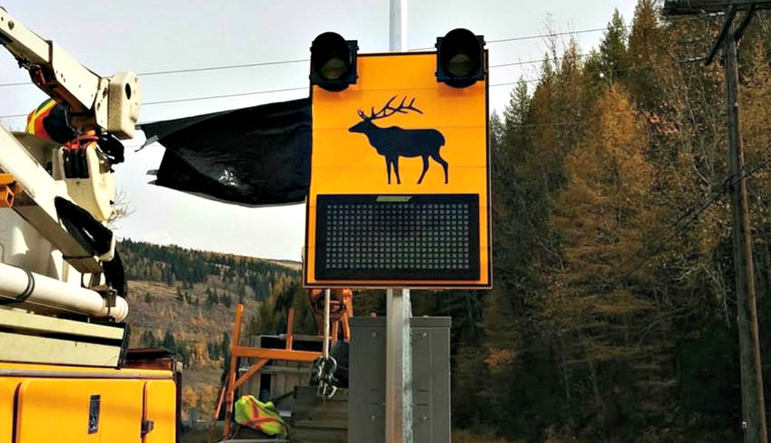 New animal detection system to help reduce highway crashes