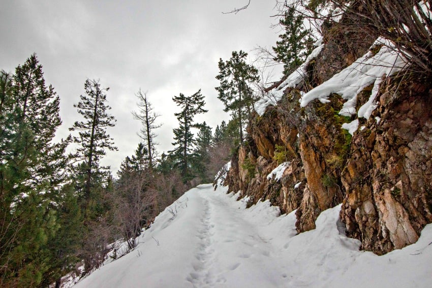 Check out The Fur Brigade Trail from Peachland